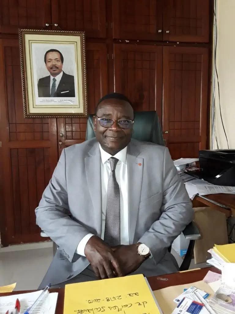 Cameroun _Gouvernance Minière: La mission MINFI_MINMIDT_SONAMINES ...